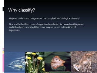 Biological Classification | PPT