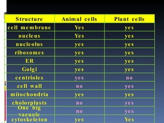 Biological Classification | PPT