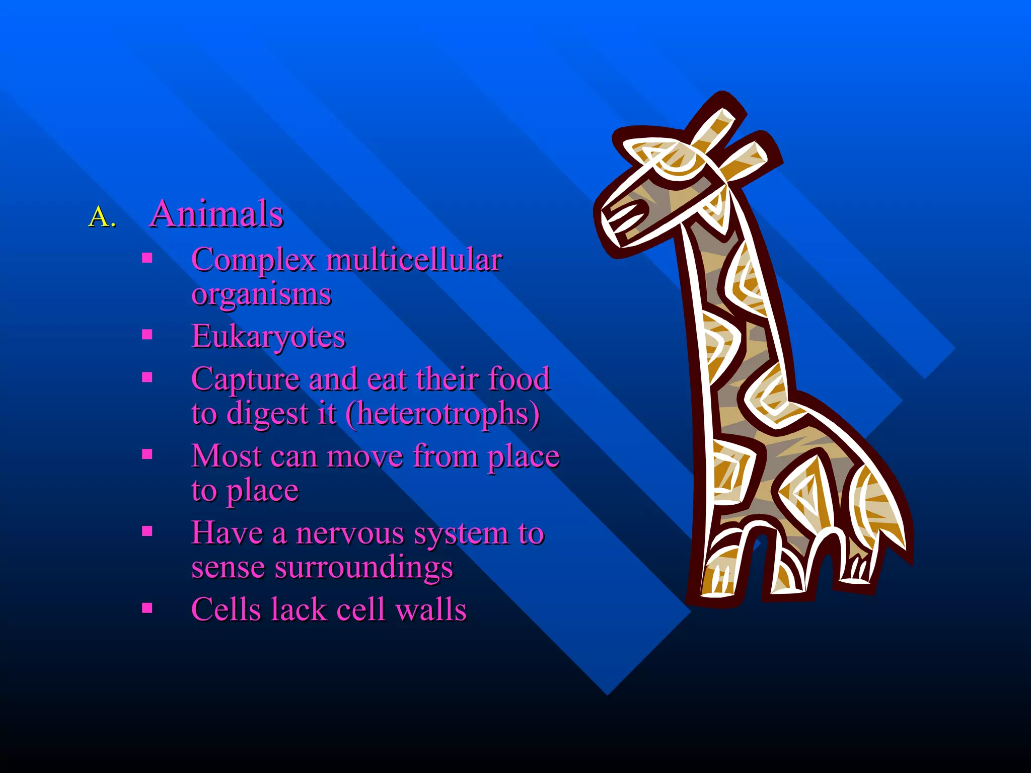 Classification | PPT