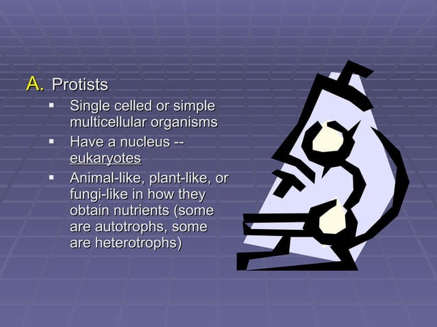 Classification | PPT | Biological Sciences | Science