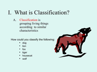 Classification | PPT