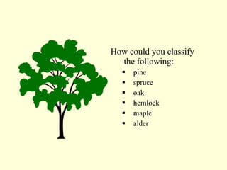 Classification | PPT