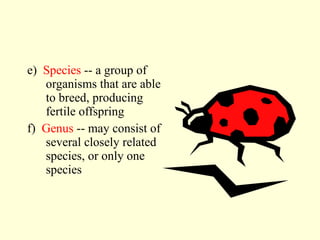 Classification | PPT