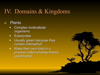 Classification | PPT