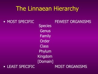 Classification | PPT