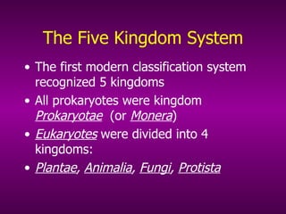 Classification | PPT