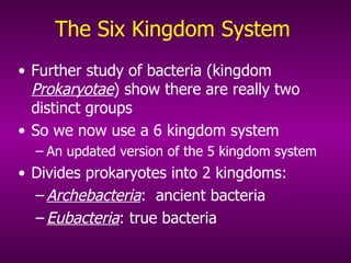 Classification | PPT