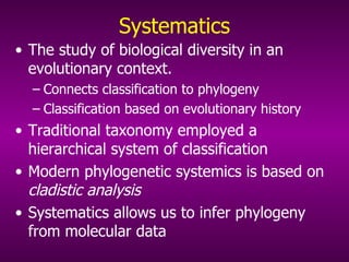 Classification | PPT