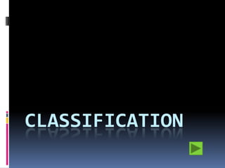 Classification | PPTX