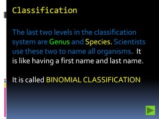 Classification | PPTX