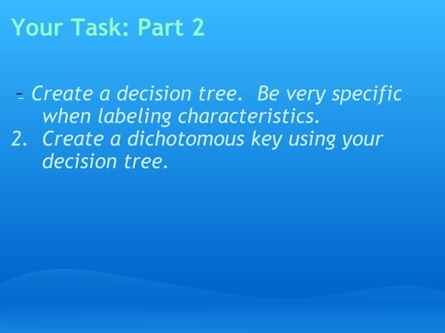 Classification Ppt