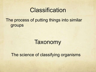 Classification | PPTX