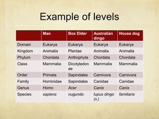 Classification | PPTX
