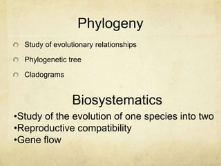 Classification | PPTX