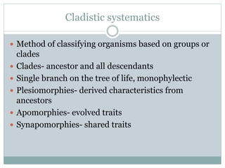 Classification | PPTX