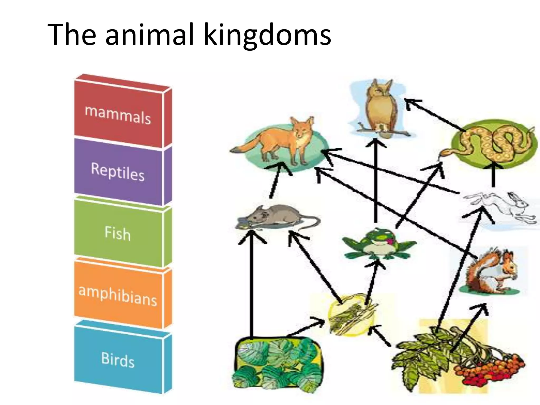 Classification | PPTX | Biological Sciences | Science