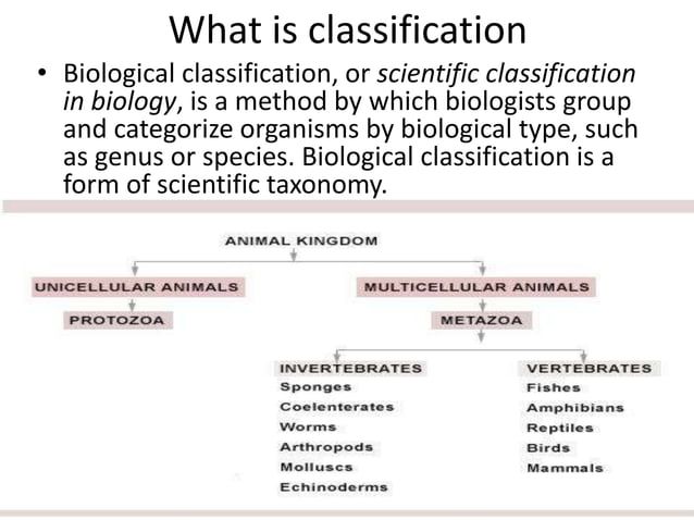 Classification | PPT