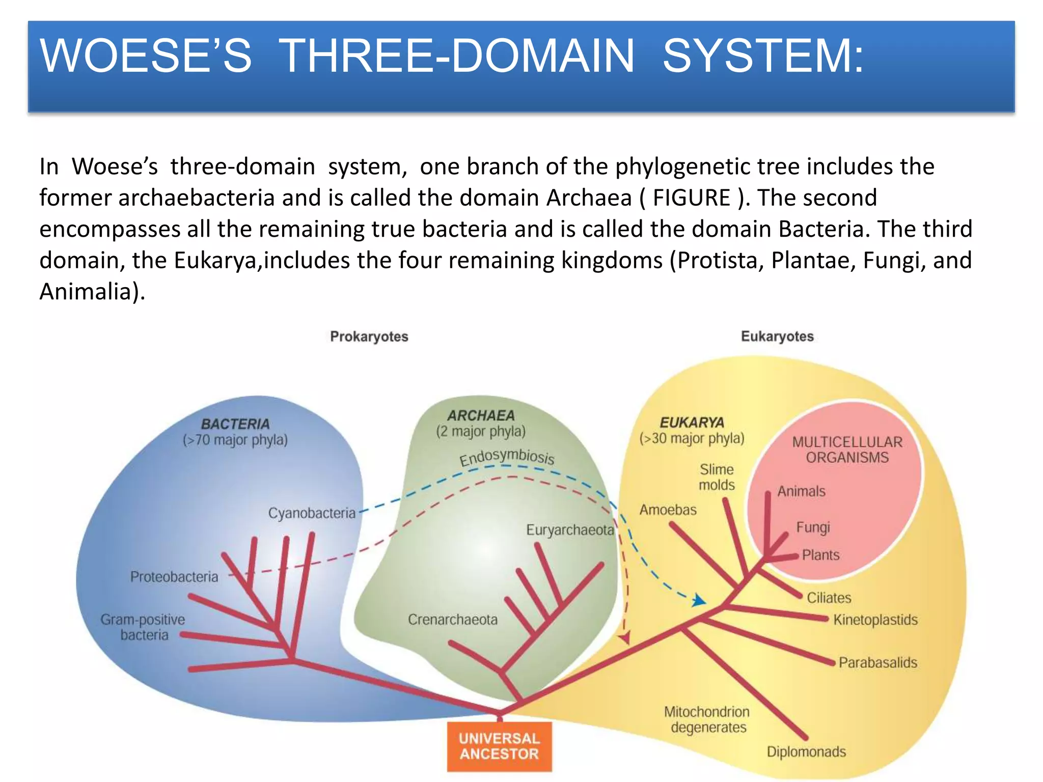 Classification of microrganisms | PPTX
