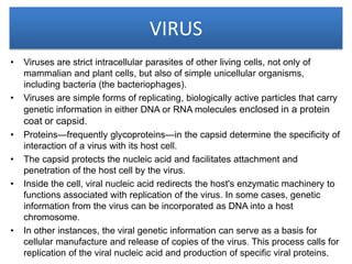 Classification of microrganisms | PPTX