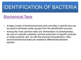 Classification of microrganisms | PPTX