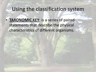 Classification of living things | PPTX