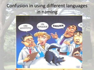 Classification of living things | PPT