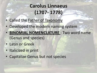 Classification of living things | PPTX