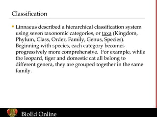 Classification | PPT