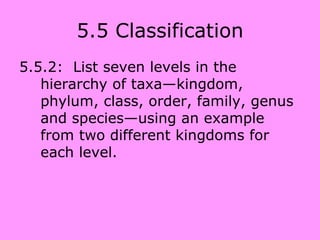 Classification | PPT