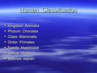 Classification Notes | PPT | Biological Sciences | Science