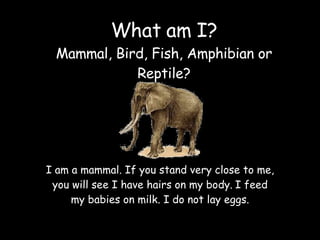 Classification o animals | PPT