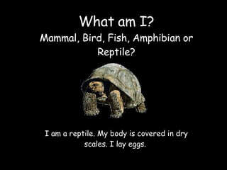 Classification o animals | PPT