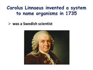 Classification | PPTX