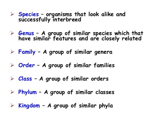 Classification