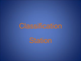 Classification | PPT