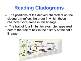 Classification | PPT