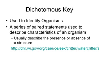 Classification | PPT