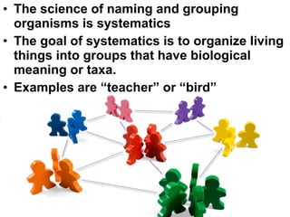 Classification | PPT