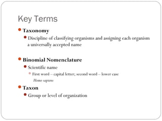 Classification of Organisms | PPT