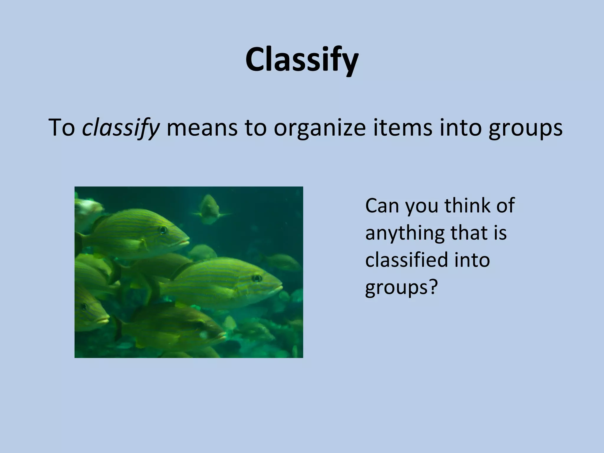 Classification | PPT