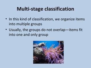 Classification | PPT