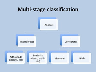 Classification | PPT