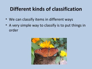 Classification | PPT