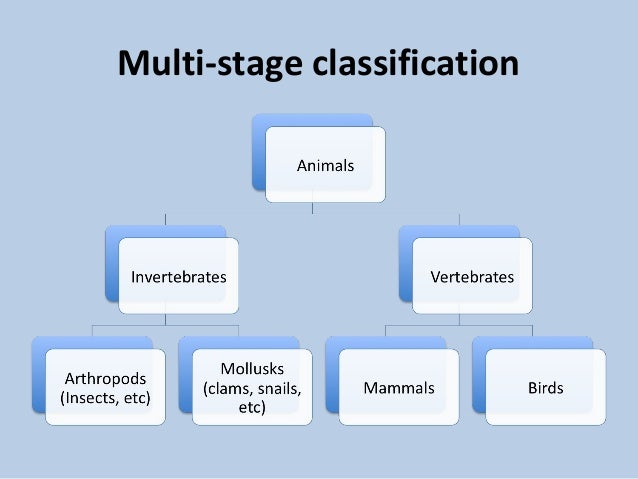 Classification 3920