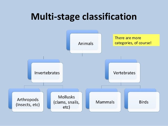 Classification