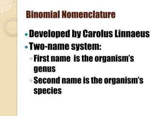 Classification | PDF | Gardening | Home & Garden