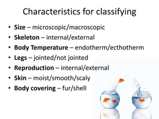 Classification | PPT