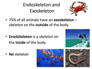 Classification | PPT