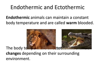 Classification | PPT