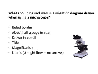 Classification | PPT